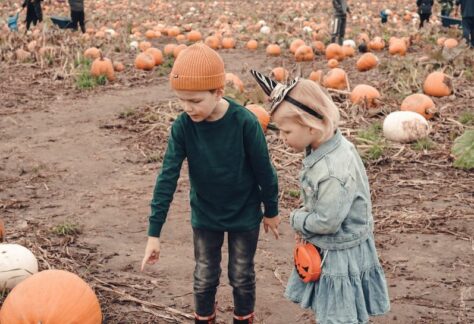 23 Fall Festivals in Northern Virginia (Festivals, Fairs & Events ...
